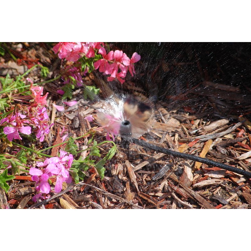 Microaspersor Spectrum Spike 360° Com Estaca Antelco